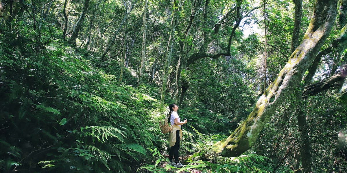 HOSHINOYA Guguan - Official Site