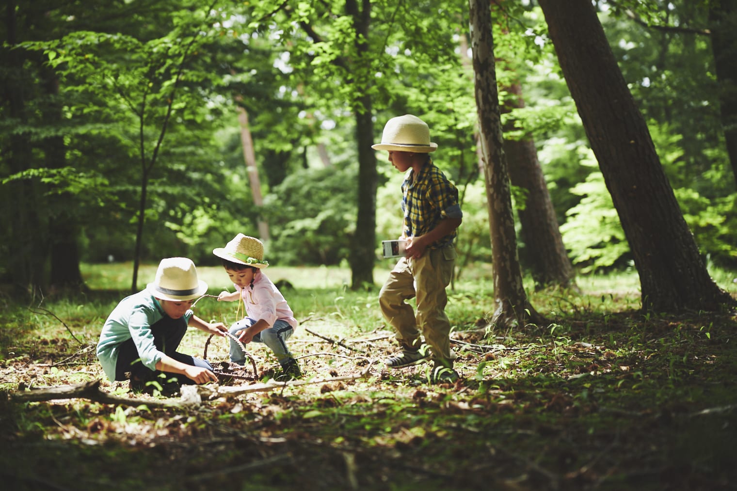 Forest Treasure Hunt | Hoshino Resorts RISONARE Nasu - Official Site